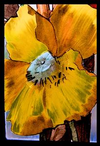 Maison Mantin Stained Glass Window Clings from Winged Heart